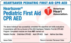 Heartsaver Pediatric First Aid CPR: Essential Skills for Emergency ...